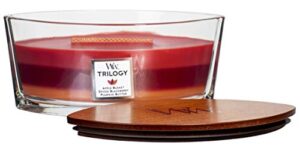 woodwick trilogy autumn harvest – apple basket, spiced blackberry, pumpkin butter scented crackling wooden wick candle in glass vessel