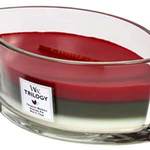 WoodWick Trilogy Winter Garland - Crimson Berries, Frasier Fir, White Teak Scented Crackling Wooden Wick Candle in Glass Vessel