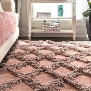 nuLOOM Francene Diamond Trellis Shag Area Rug, 4' x 6', Pink