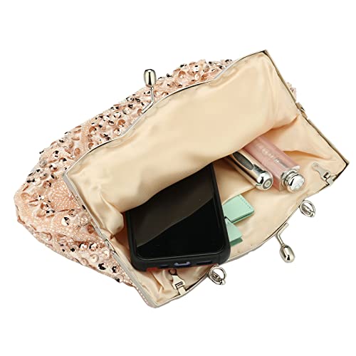 Noble Beaded Sequin Flower Evening Purse Large Clutch Bag Handbag for Women (Champagne)