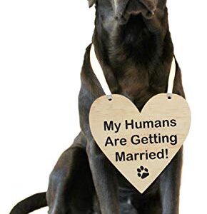 Pulse Brands Engagement Photo Prop Sign - My Humans are Getting Married - Engagement Gifts - Bride to Be - Engaged - Engagement Gifts for Couples