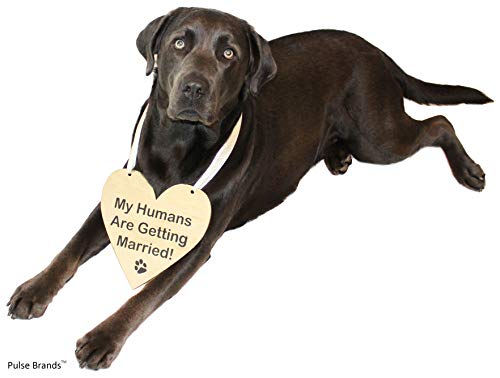 Pulse Brands Engagement Photo Prop Sign - My Humans are Getting Married - Engagement Gifts - Bride to Be - Engaged - Engagement Gifts for Couples