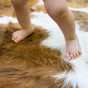 Rodeo Cowhide Rug Size 5x7 Feet(150cmx 210cm) TC5X7