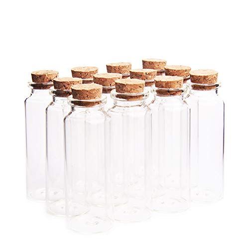 Danmu 12Pcs 40ml 1.18" x 3.14" Mini Glass Bottles, Mini Bottles, Mini Vials, Jars with Wood Cork Stoppers, Tiny Vials, Wish Bottles, Message Bottles for Wedding Favors, Baby Shower Favors, DIY Craft