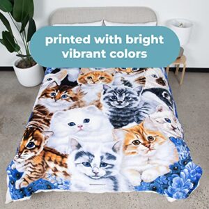 Dawhud Direct Collage Kitten Fleece Blanket for Bed, 75" x 90" Queen Size Cute Fleece Throw Blanket for Girls, Women, Men and Kids - Super Soft Plush Cat Blankets for Cat Lovers Kitty Cats Print Throw