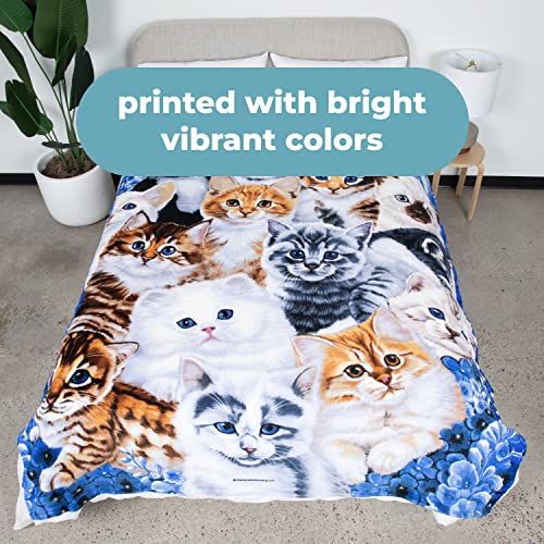 Dawhud Direct Collage Kitten Fleece Blanket for Bed, 75" x 90" Queen Size Cute Fleece Throw Blanket for Girls, Women, Men and Kids - Super Soft Plush Cat Blankets for Cat Lovers Kitty Cats Print Throw