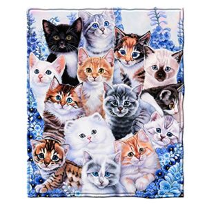 Dawhud Direct Collage Kitten Fleece Blanket for Bed, 75" x 90" Queen Size Cute Fleece Throw Blanket for Girls, Women, Men and Kids - Super Soft Plush Cat Blankets for Cat Lovers Kitty Cats Print Throw