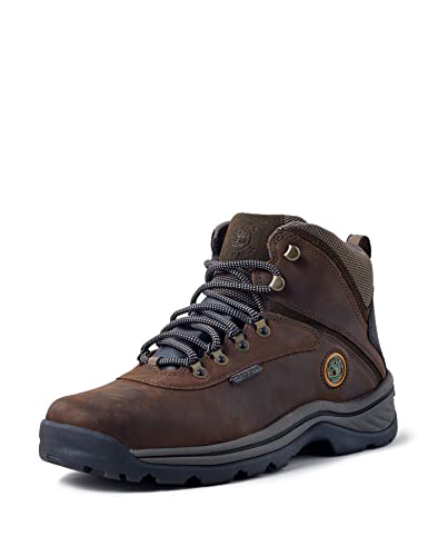 Timberland Men's White Ledge Mid Waterproof Hiking Boot, Medium Brown, 13