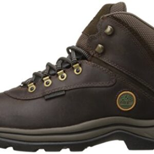 Timberland Men's White Ledge Mid Waterproof Hiking Boot, Medium Brown, 13