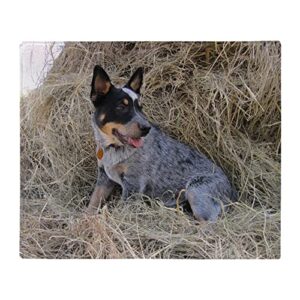 cafepress australian blue heeler pup throw blanket super soft fleece plush throw blanket, 60″x50″