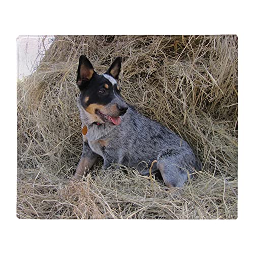 CafePress Australian Blue Heeler Pup Throw Blanket Super Soft Fleece Plush Throw Blanket, 60"x50"