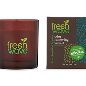 Fresh Wave Odor Removing Candle, 7 oz. | Safer Odor Relief | Burns at Least 30 Hours | Natural Plant-Based Odor Eliminator | Odor Absorbers for Home | Clean-Burning Soy & Beeswax