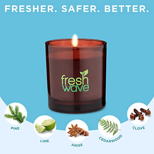 Fresh Wave Odor Removing Candle, 7 oz. | Safer Odor Relief | Burns at Least 30 Hours | Natural Plant-Based Odor Eliminator | Odor Absorbers for Home | Clean-Burning Soy & Beeswax