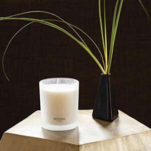 Apotheke Signature Amber Woods Candle, 1 EA