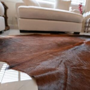 Sunshine Cowhides Genuine Mahogany Brown Cowhide Rug XL 6 x 7-8 ft. 180 x 240 cm