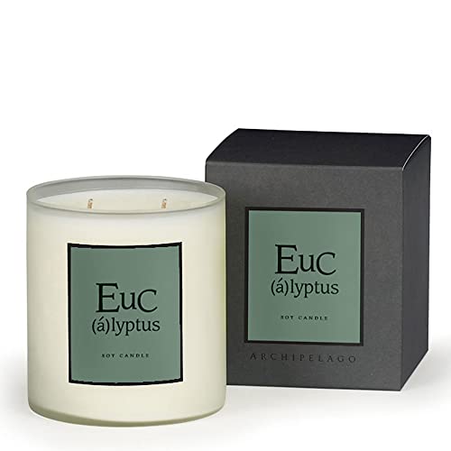 Archipelago Botanicals Eucalyptus Boxed Candle | Wild Eucalyptus, Palm Leaf and Musk | Clean Soy Wax Blend Burns 90 Hours (14 oz)