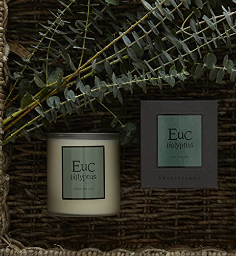 Archipelago Botanicals Eucalyptus Boxed Candle | Wild Eucalyptus, Palm Leaf and Musk | Clean Soy Wax Blend Burns 90 Hours (14 oz)