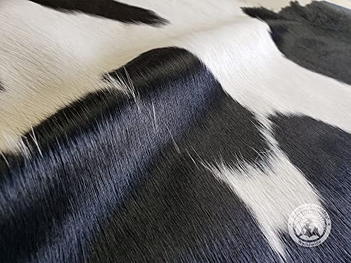 Genuine Black and White Cowhide Rug XL 6 x 7-8 ft. 180 x 240 cm