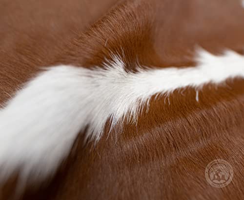 Genuine Hereford Red Brown and White Cowhide Rug Large 6 x 7-8 ft. 180 x 240 cm