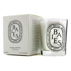 diptyque candle baies berries 6.5 oz