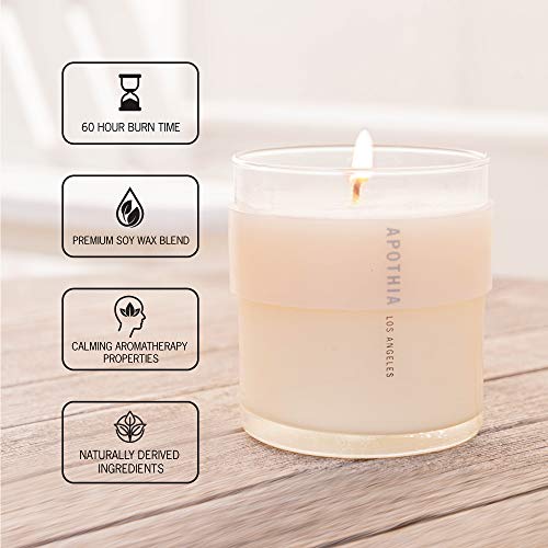 APOTHIA - Chrismukkah Candle | Fresh Green Fir & Cloves I Award Winning Scented Candles with Premium Soy Wax Blend I 60 Hour Long Burning I 9 oz I Small Batches for Luxury Quality in Decorative Jar