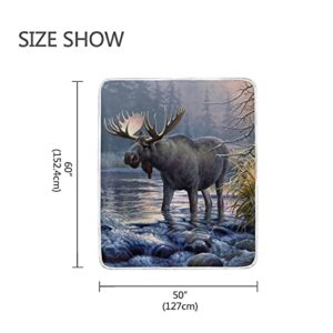 Ainans Moose Throw Blanket, Soft Warm Cozy Bed Couch Sofa Blankets 50"x60" for Kids Adults