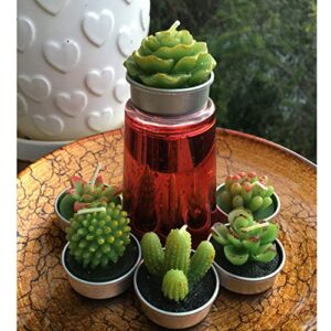 GIFTEXPRESS 18 Pcs Succulent Cactus Candles No Repeat Style, Delicate Smokeless Scented Tealight Candles for Home Décor, SPA, Wedding, Valentine's Day, Birthday Gift, Anniversary Celebration