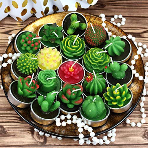 GIFTEXPRESS 18 Pcs Succulent Cactus Candles No Repeat Style, Delicate Smokeless Scented Tealight Candles for Home Décor, SPA, Wedding, Valentine's Day, Birthday Gift, Anniversary Celebration