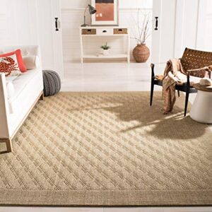 safavieh palm beach collection 6′ x 9′ sand pab351a sisal & jute area rug