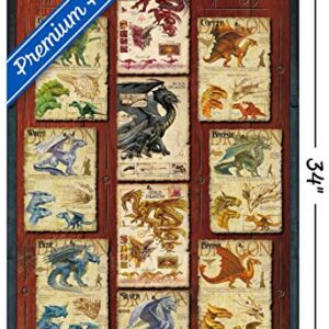 Trends International Dungeons Dragon Grid Wall Poster, 22.375" x 34", Premium Unframed Version