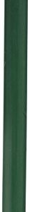 Northern Lights Candles 2 Piece Premium Taper Candle, 12", Hunter Green