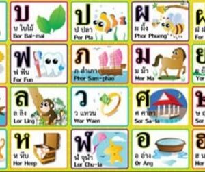 asmanjune Poster Alphabet Thai (ก-ฮ)