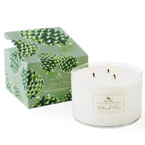 soap & paper factory roland pine 18 oz three-wick soy candle