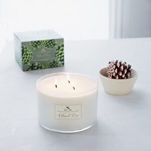 Soap & Paper Factory Roland Pine 18 oz Three-Wick Soy Candle