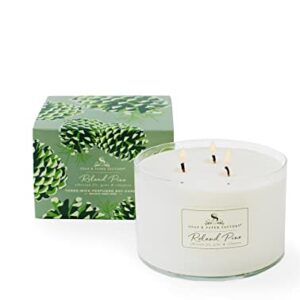 Soap & Paper Factory Roland Pine 18 oz Three-Wick Soy Candle