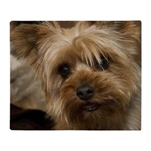 cafepress yorkie puppy throw blanket super soft fleece plush throw blanket, 60″x50″