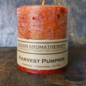 Harvest Pumpkin Spice Cinnamon Clove Scented Pillar Candle Set (3 Piece Set, Rustic, Dark Orange)