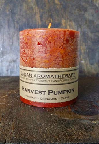 Harvest Pumpkin Spice Cinnamon Clove Scented Pillar Candle Set (3 Piece Set, Rustic, Dark Orange)