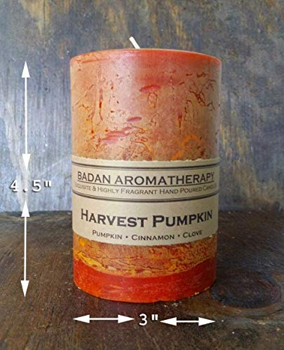 Harvest Pumpkin Spice Cinnamon Clove Scented Pillar Candle Set (3 Piece Set, Rustic, Dark Orange)