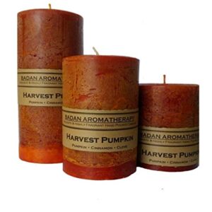 Harvest Pumpkin Spice Cinnamon Clove Scented Pillar Candle Set (3 Piece Set, Rustic, Dark Orange)