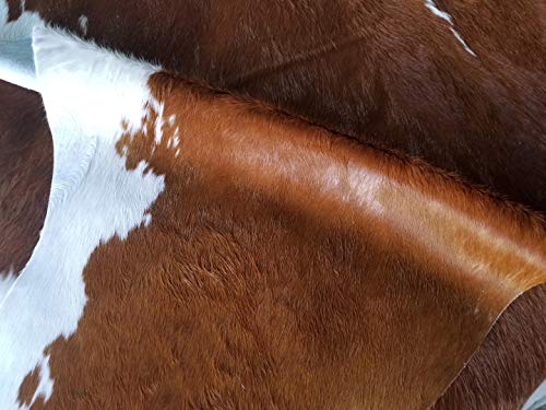 eCowhides Hereford Brazilian Cowhide Area Rug, Cowskin Leather Hide for Home Living Room (Large) 6 x 6 ft