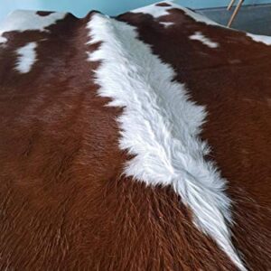 eCowhides Hereford Brazilian Cowhide Area Rug, Cowskin Leather Hide for Home Living Room (Large) 6 x 6 ft