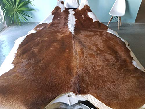 eCowhides Hereford Brazilian Cowhide Area Rug, Cowskin Leather Hide for Home Living Room (Large) 6 x 6 ft