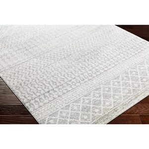 Artistic Weavers Chester Boho Moroccan Area Rug,10' x 14',Grey