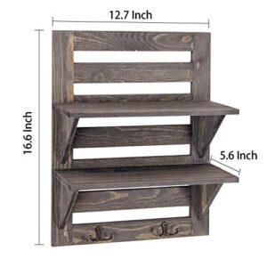 VERGOODR Rustic Wooden Wall Mounted Organizer Shelves with 2 Hooks, 2-Tier Storage Rack, Decorative Wall Shelf Organizer,Kitchen,Bathroom,livingroom Farmhouse Rustic Décor,Grey (Grey)