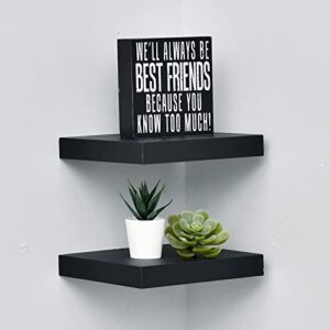 WELLAND Set of 2 Floating Shelves Wall Mounted Shelf, for Home Decor with 8" Deep (Black, 10 inch)