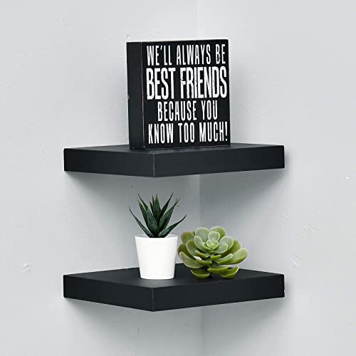 WELLAND Set of 2 Floating Shelves Wall Mounted Shelf, for Home Decor with 8" Deep (Black, 10 inch)