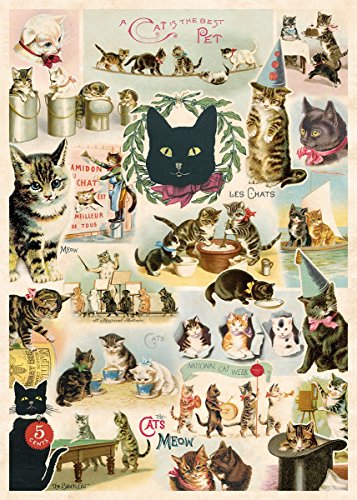 Cavallini Decorative Wrap Poster Cat, 20 x 28 inch Italian Archival Paper (WRAP/CAT)