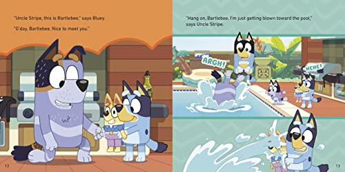 Bluey: Christmas Swim