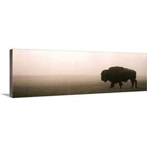 a bison in mist – panoramic canvas wall art print, wyoming artwork